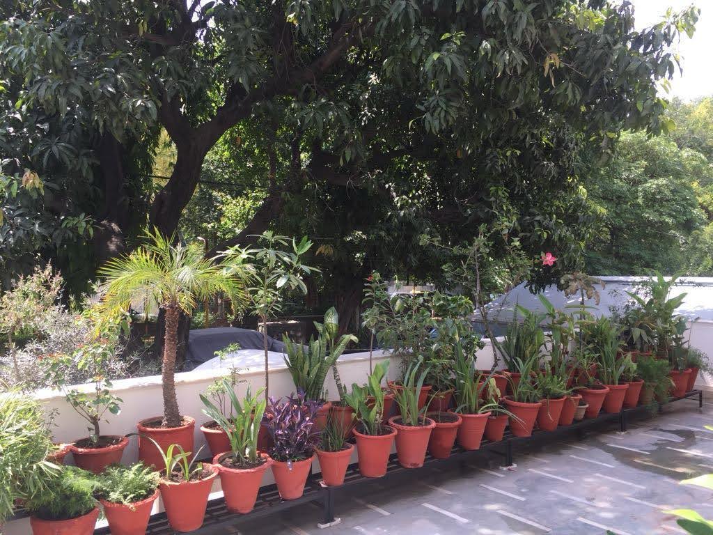 Ground Floor In Hauz Khas Enclave For Sale - South Delhi Prime